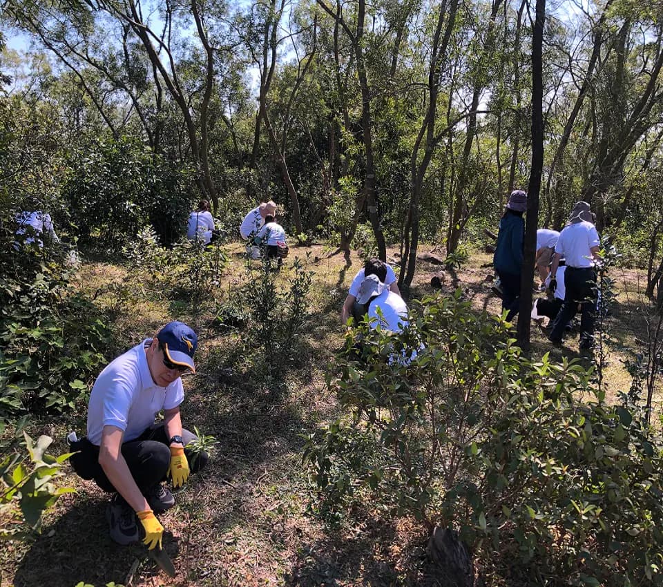 3MHK Love & Care Volunteer Team join hands with The Green Earth to take ...